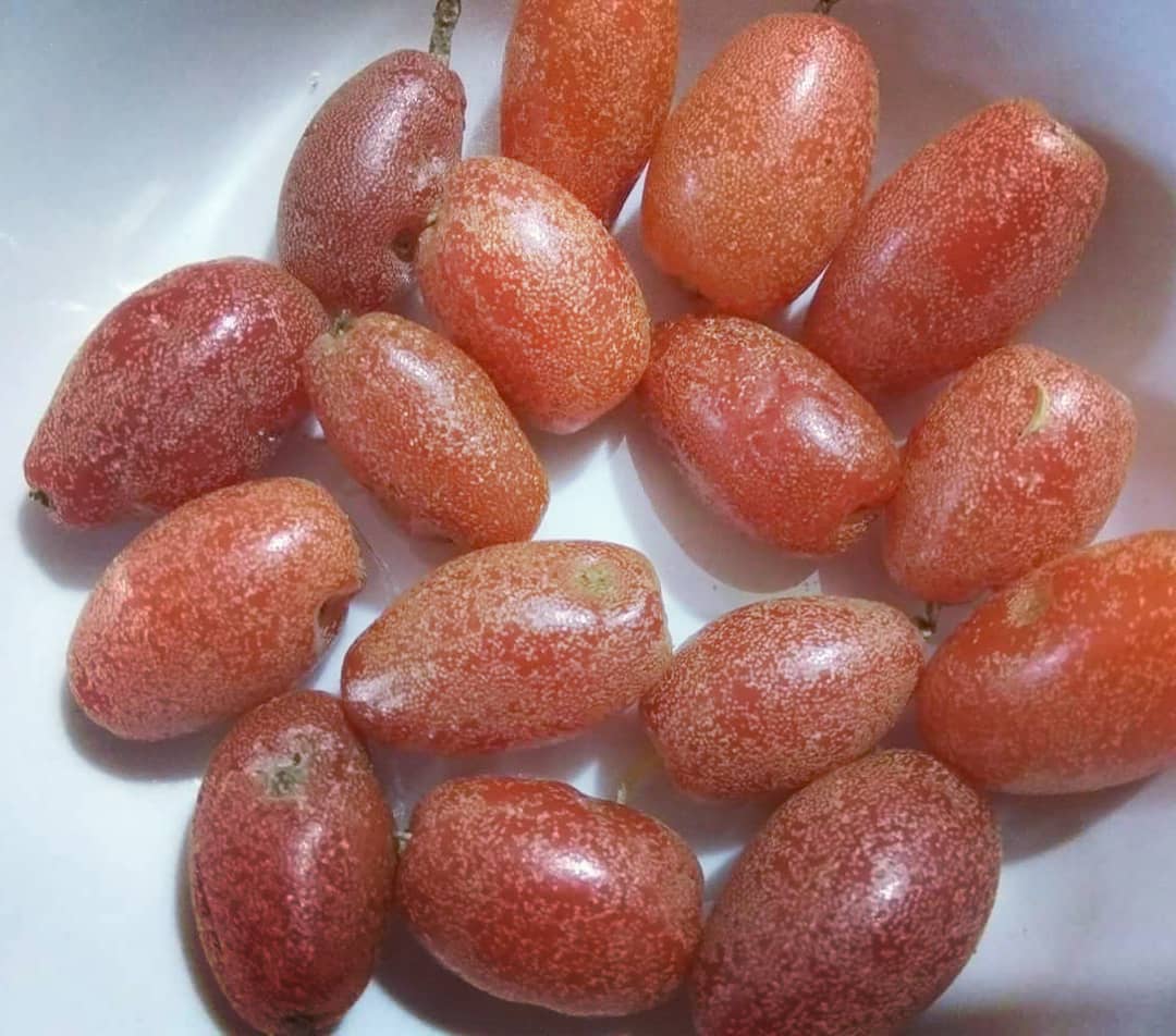 MIZO CHAWHMEH (MIZO Dishes/Curry/Cuisine) | TIMES OF MIZORAM