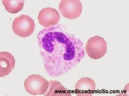 fichero hematologia: Desviacion a la izquierda