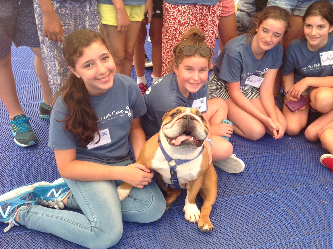Future Vet Kids Camp (Sydney) - January 2016 | Australian Dog Lover