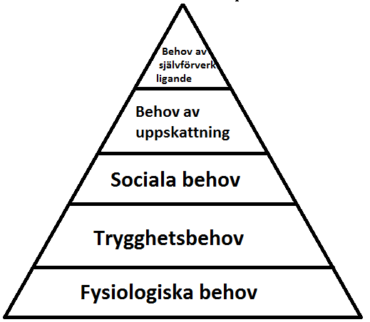 Lärande, växande och socialisation: Abraham Maslows behovsteori