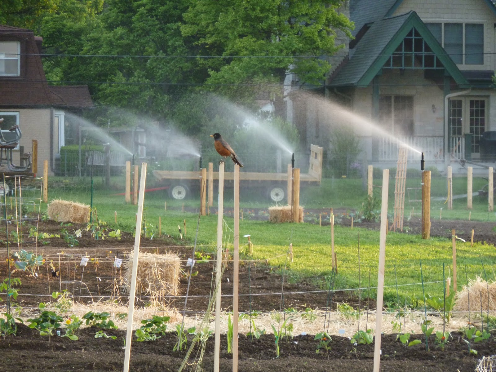 Irrigation Systems For Community Gardens at Victoria Horton blog