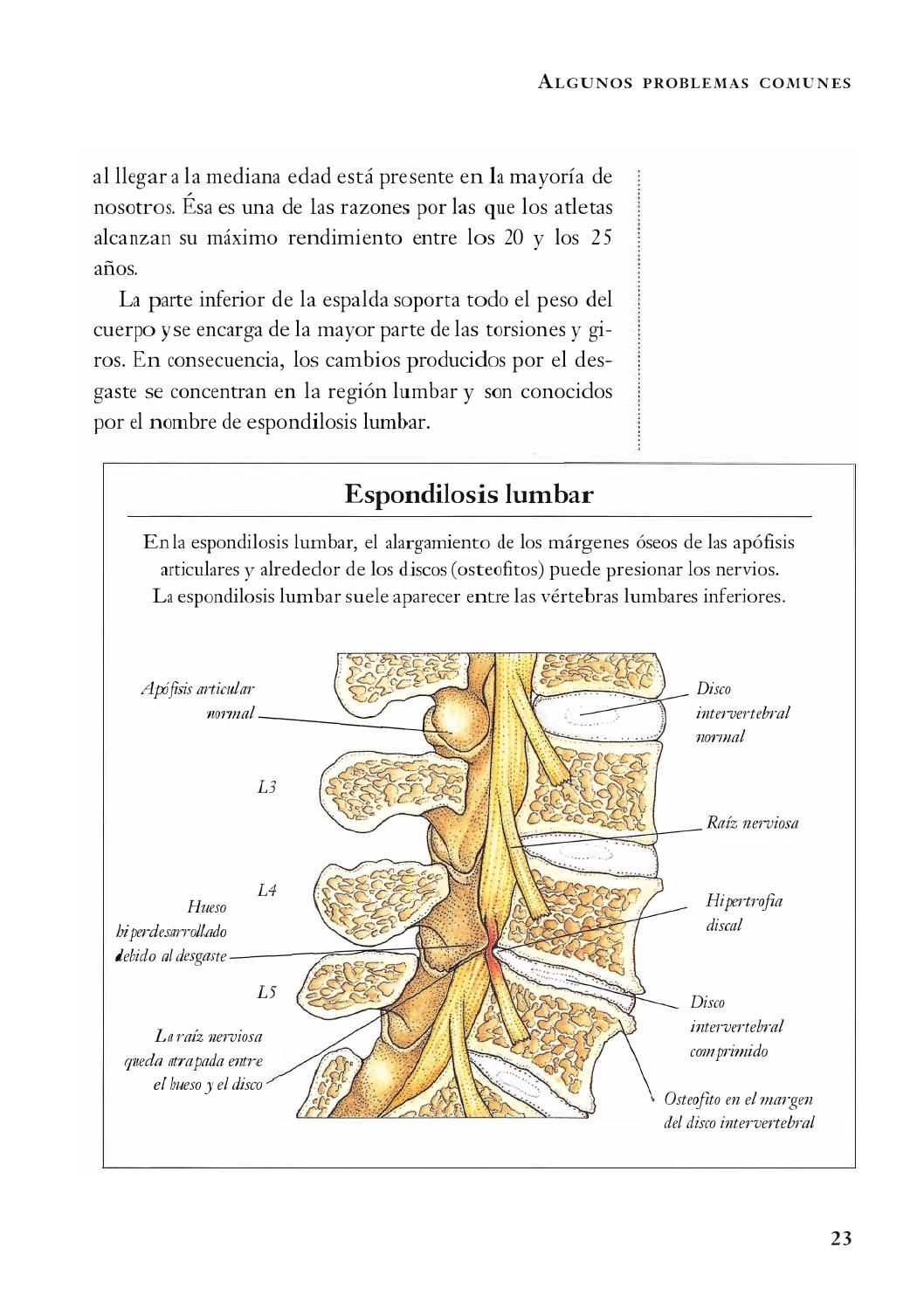 MyStretchingVital: ¿Qué es la Hiperflexibilidad? Hugo Cascia FUENTE ...