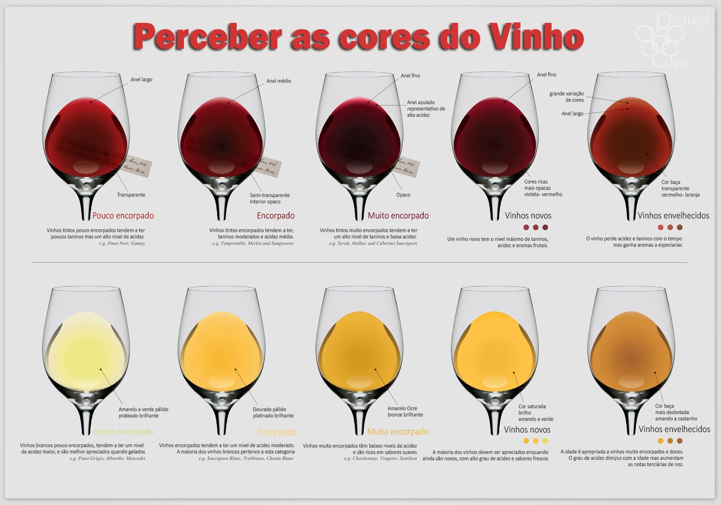 Ilustração mostra o que a cor do vinho pode indicar. ~ Papo de Vinho