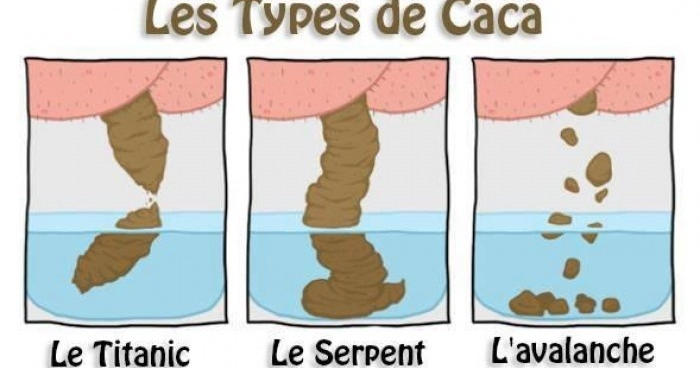 Les différents types de caca ~ Troll Et Humour