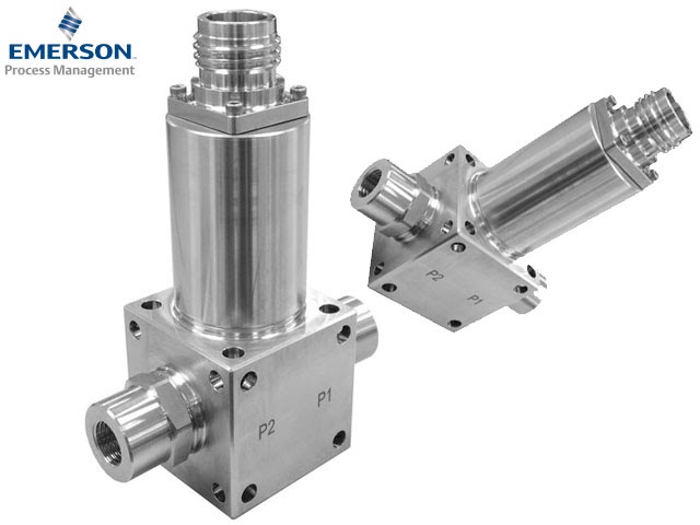 Emerson Paine™ 226-30-0020 Differential Pressure and Temperature ...