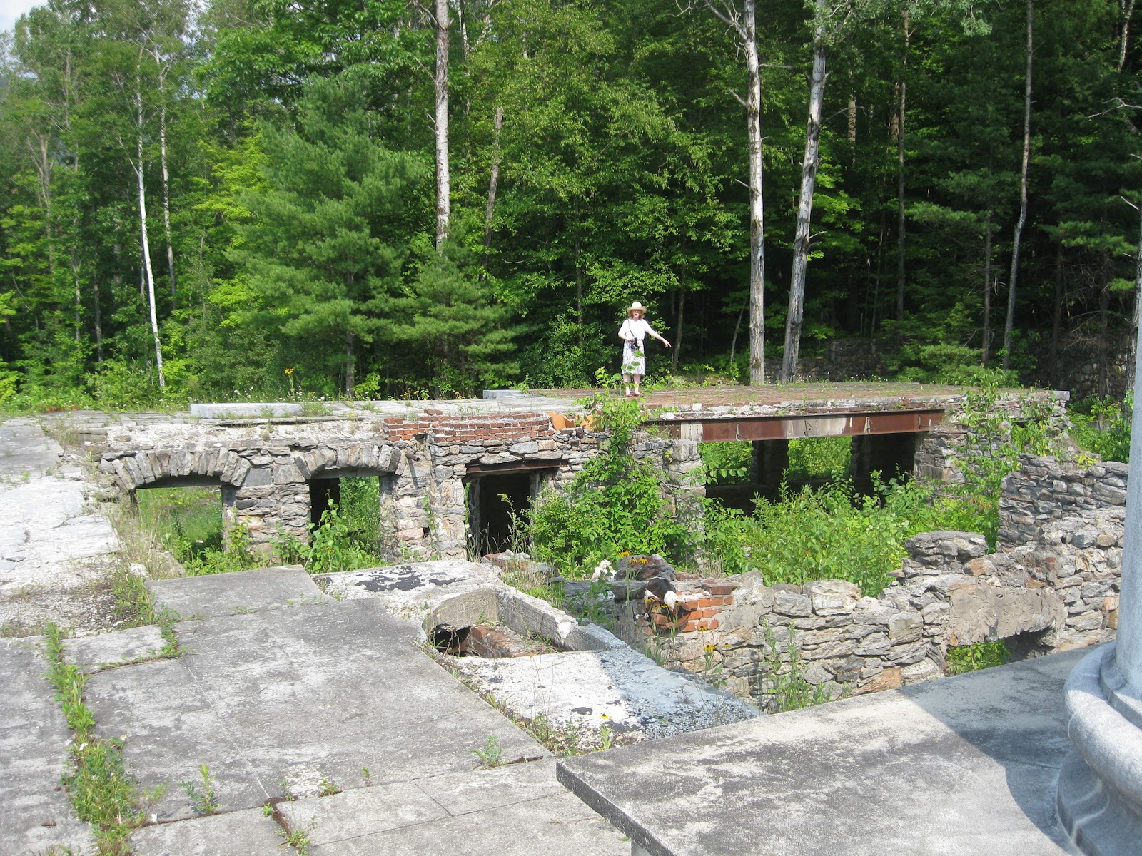 flower flinging: Ashintully