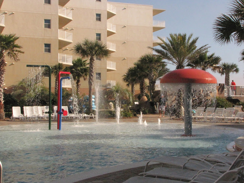 Welcome To The Adventures Of The Litton Family and Life With The ...