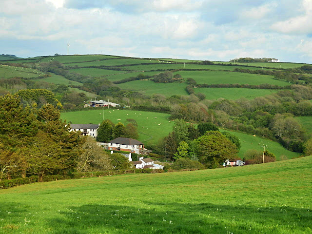 Mike's Cornwall: Cottages, Green Fields, Coastal Views and Farm Animals ...