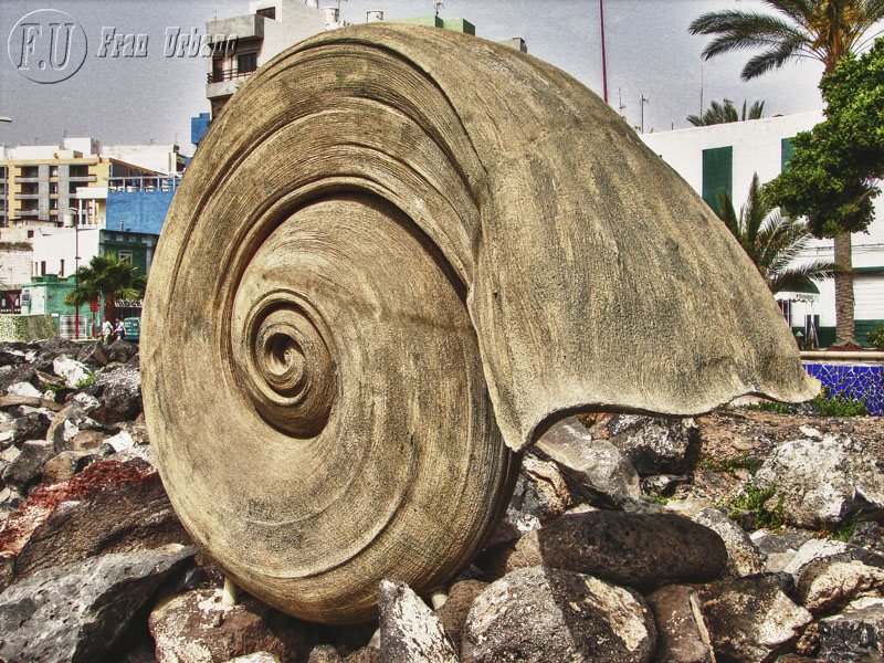 El Rincon De Fuerteventura "F.U": Caracolas