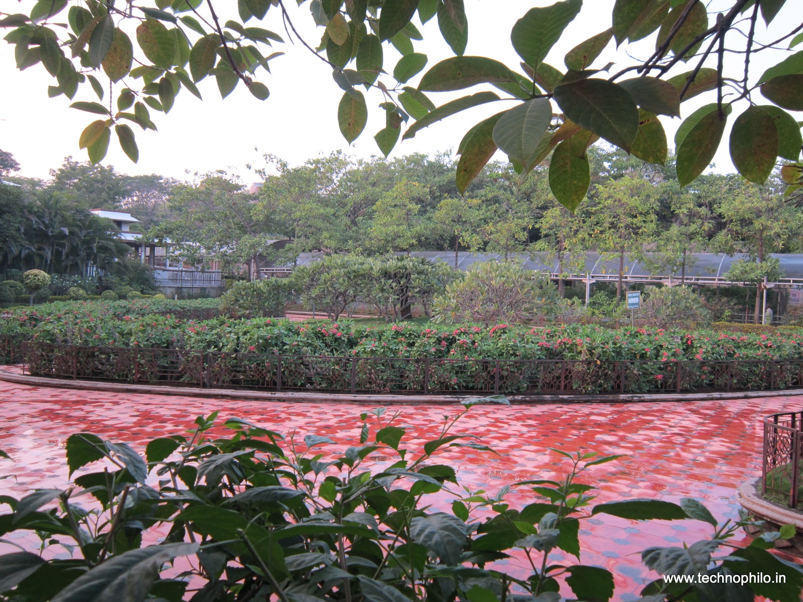 Sri Gnana Saraswati Temple, Basara