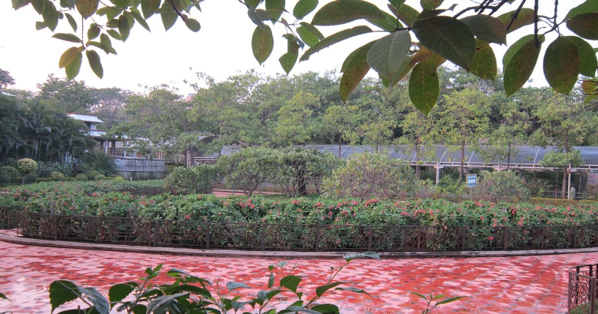 Sri Gnana Saraswati Temple, Basara