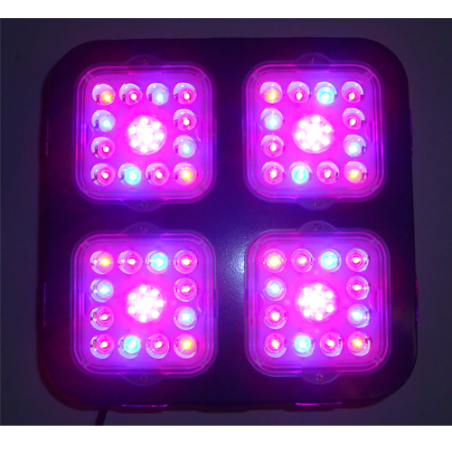 Hydroponic LED Grow Lights: Bysen Helios 240 Watt