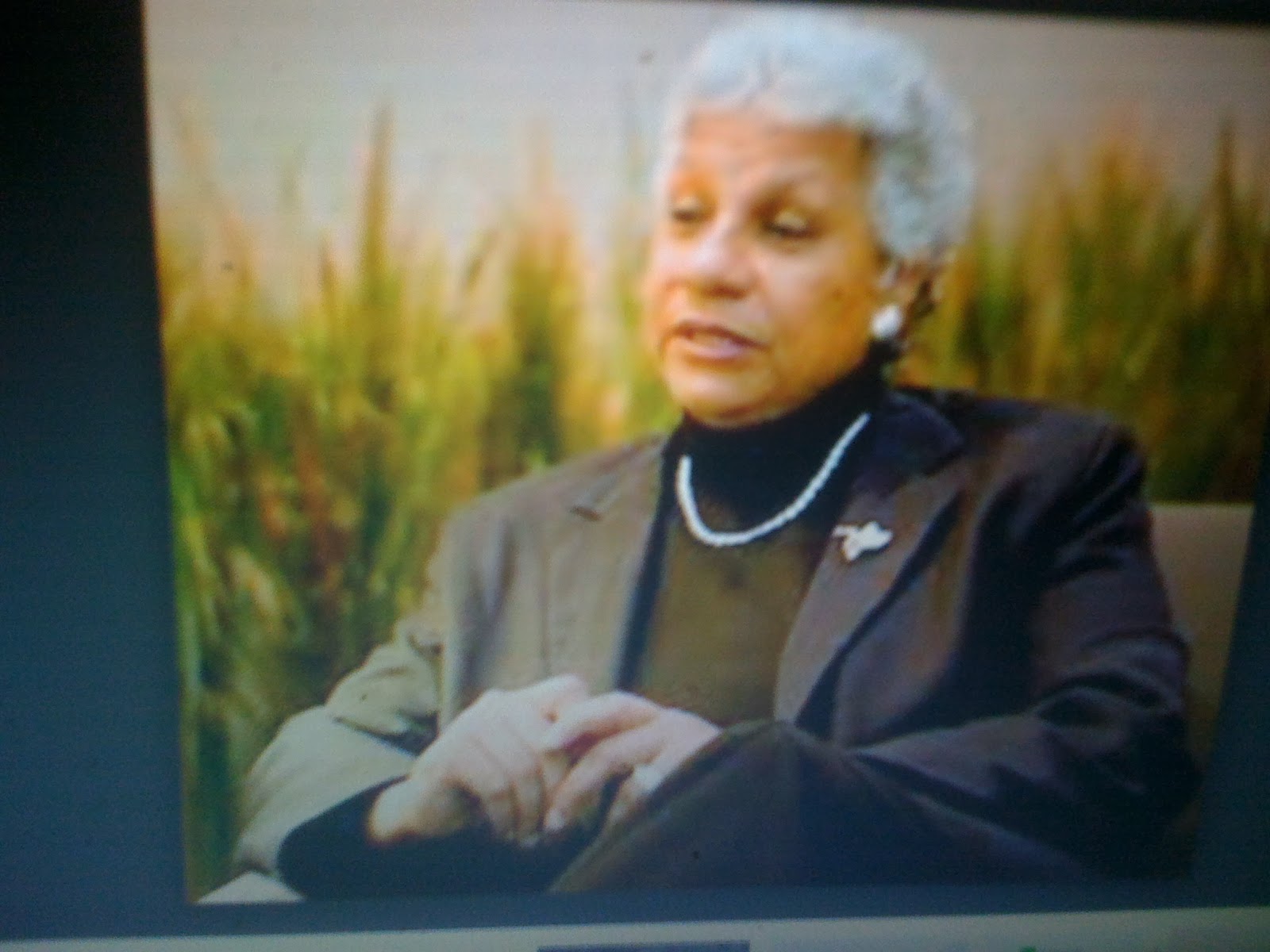 THE BLACK SOCIAL HISTORY:: BLACK SOCIAL HISTORY : AFRO- CANADIAN ...