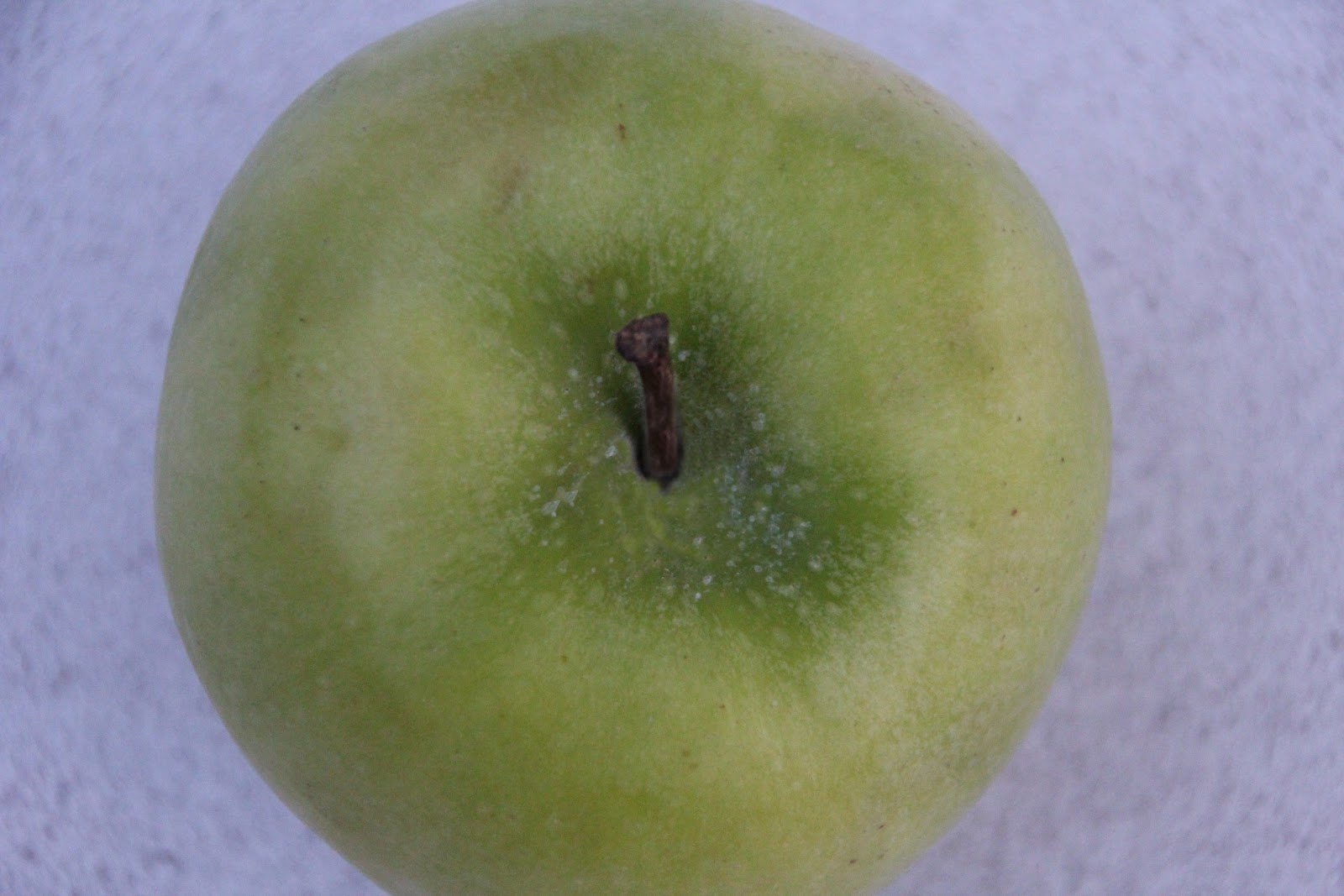 Ryan Perry ART 290: January 2013