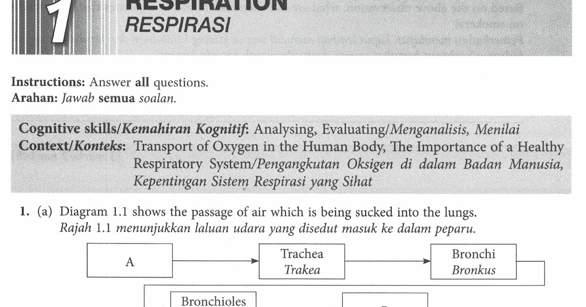 Sains-f3-KBAT Latihan-01a