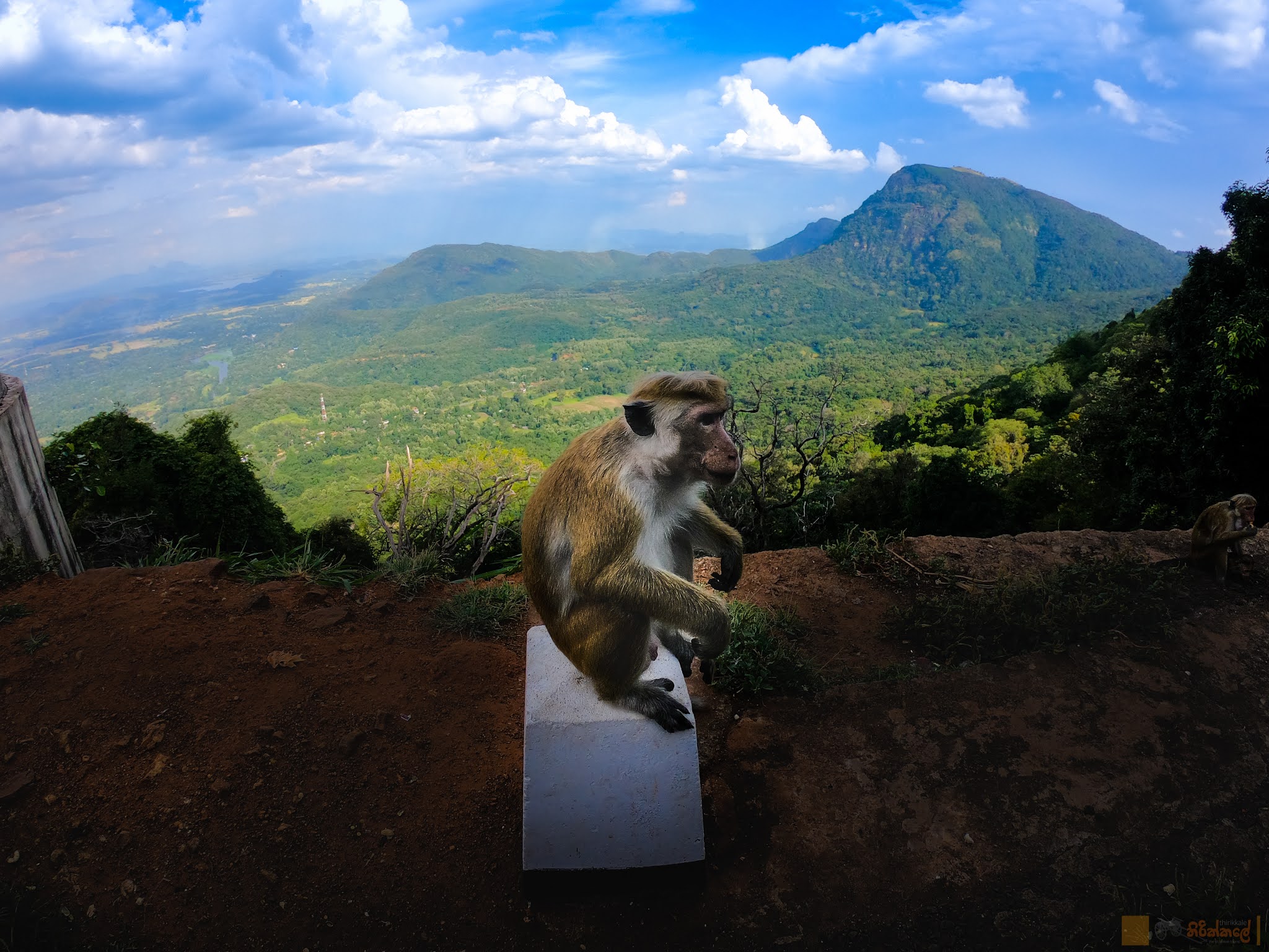 -18 වංගුව- - "Thirikkale" (තිරික්කලේ)