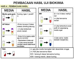 Komunitas Pelajar berbagi ilmu: LAPORAN HASIL PRATIKUM UJI MAKANAN