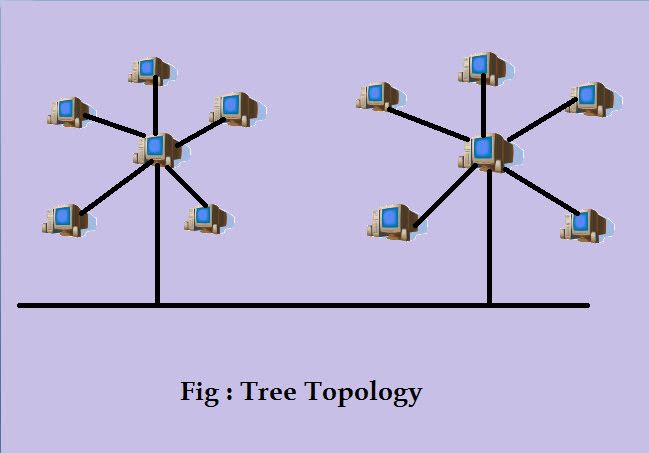 Computer Network Topology