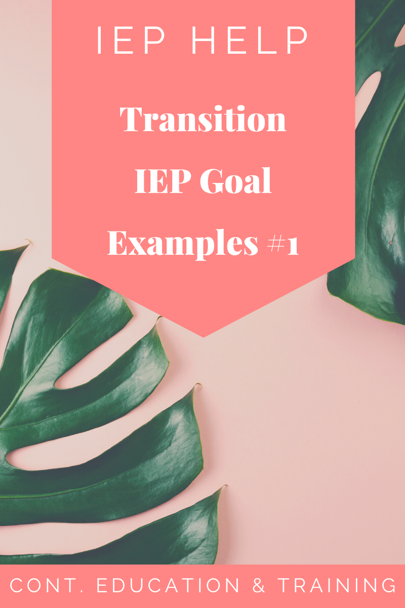 Murphy Marketplace Transition Iep Goal Examples Youtube Series 1 murphy-marketplace-transition-iep-goal-examples-youtube-series-1