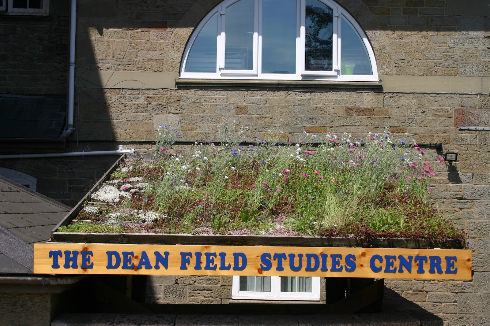 The Dean Field Studies Centre: 2017