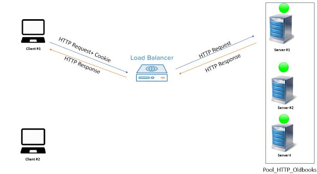 Cookie Persistence Methods ~ Network & Security Consultant