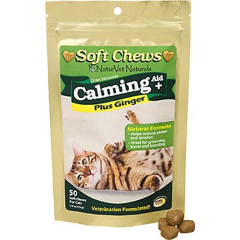 Polka-Dotty Place: Road Tripping with CATS