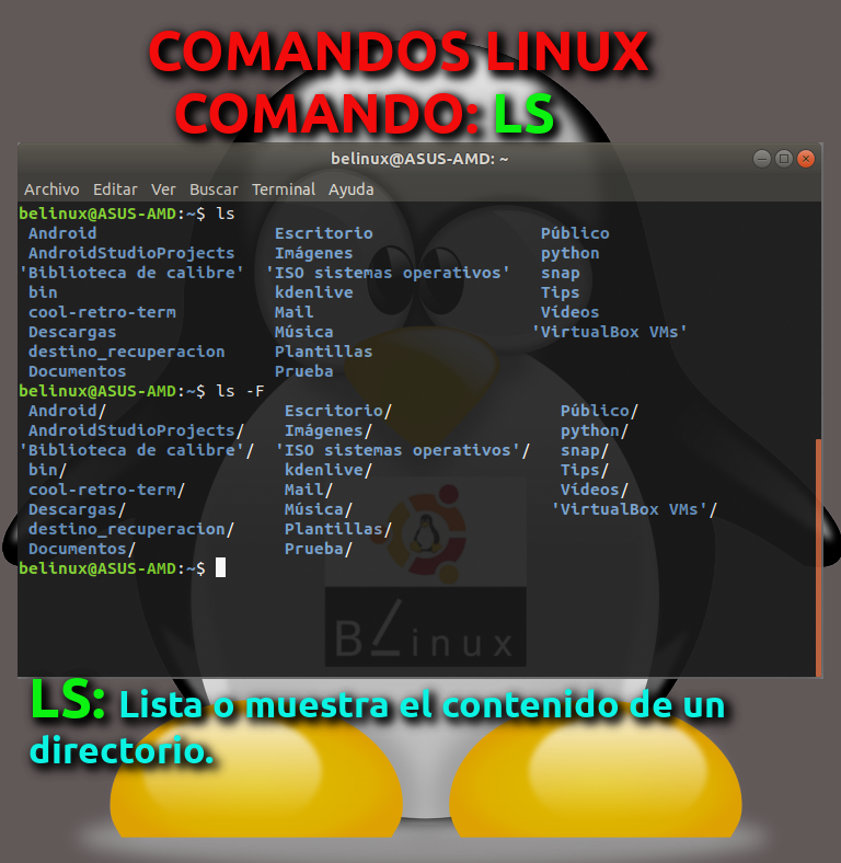 Ubuntu Linux: Comando "LS" en Linux