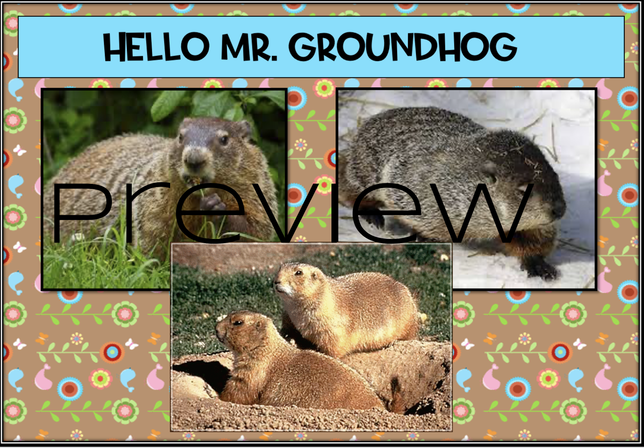 1st Grade Hip Hip Hooray!: The Groundhog