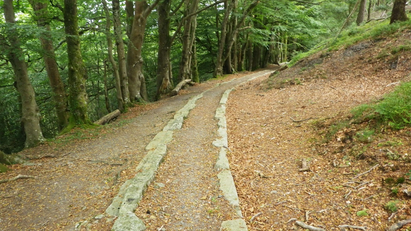 My Dartmoor Walks: Tuesday 3rd September The Templar Way