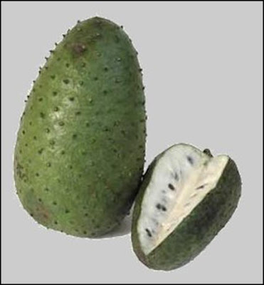 Los Gavirias de Sopetrán