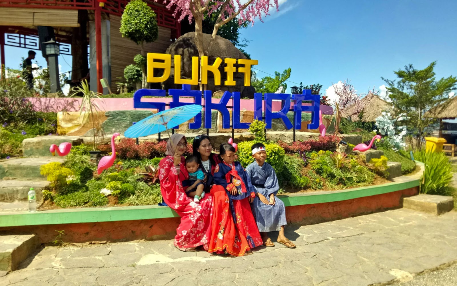 Wisata Bukit Sakura Kemiling Lampung | Indah Dan Mempesona