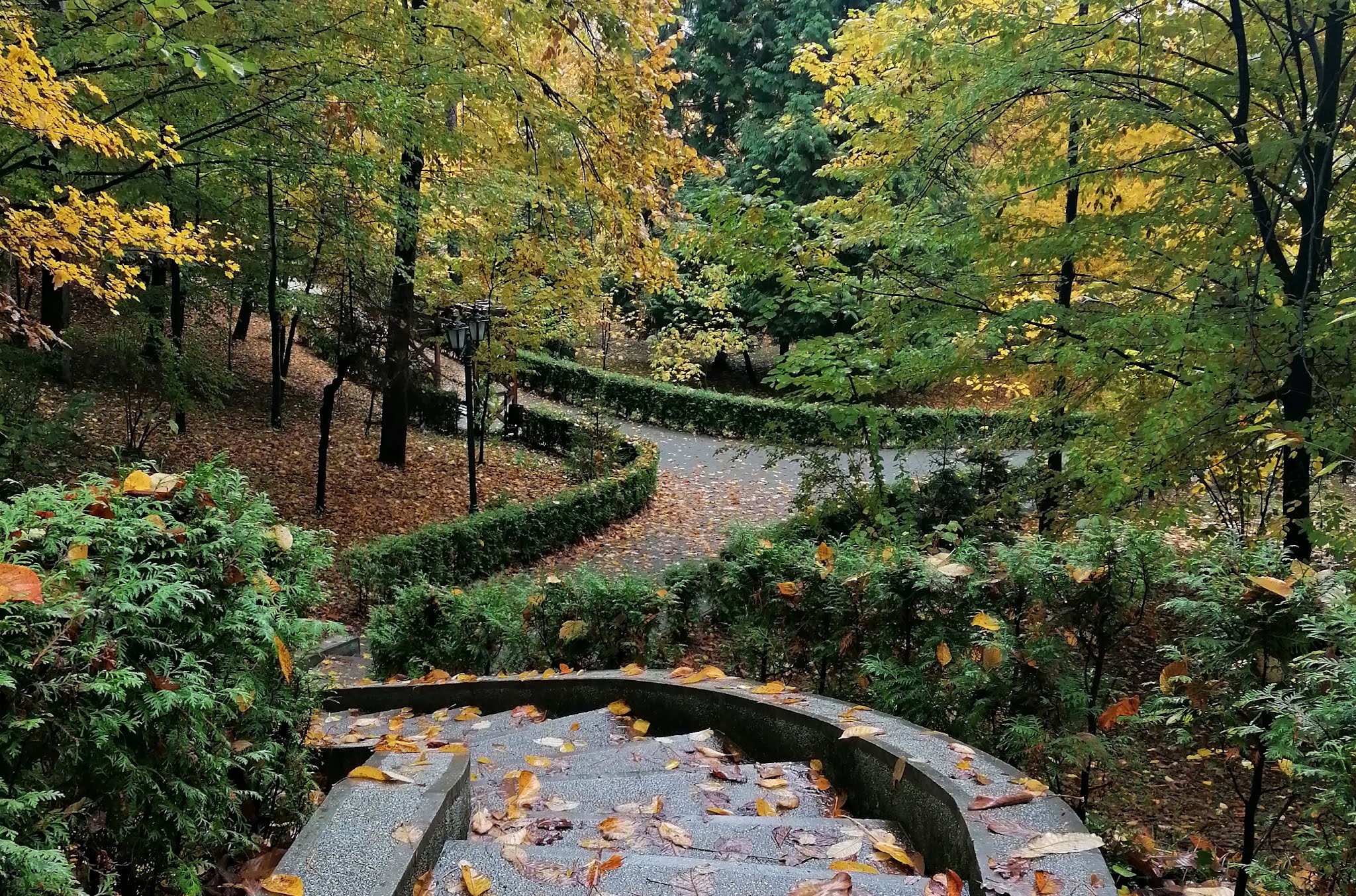 Coltul Cameliei: Baile Govora & imprejurimile