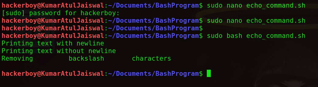 Bash Scripting echo command