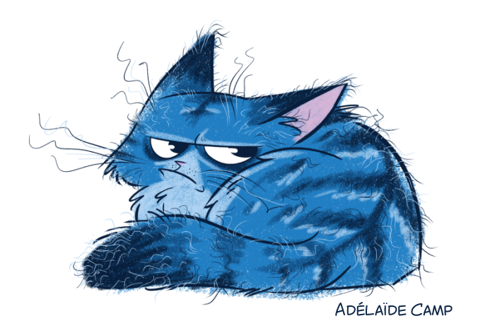 Adélaïde Camp, illustratrice