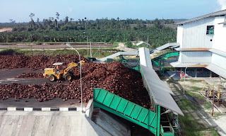 Pembuatan Laporan Keuangan Perkebuanan Kelapa Sawit: Akuntansi ...