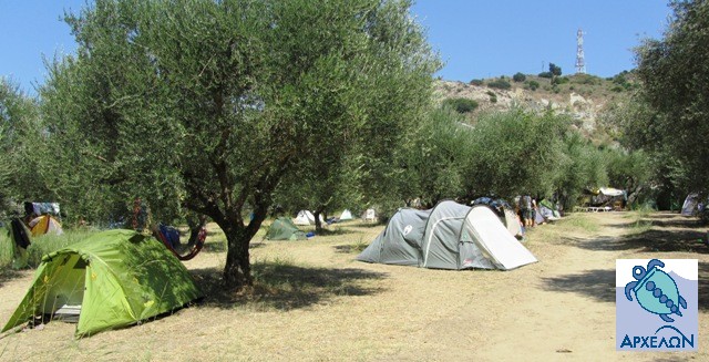 ARCHELON: Volunteering at ZAKYNTHOS