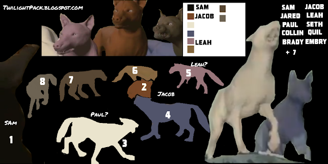 Twilight Pack: Looking for Wolf Color Code Chart!