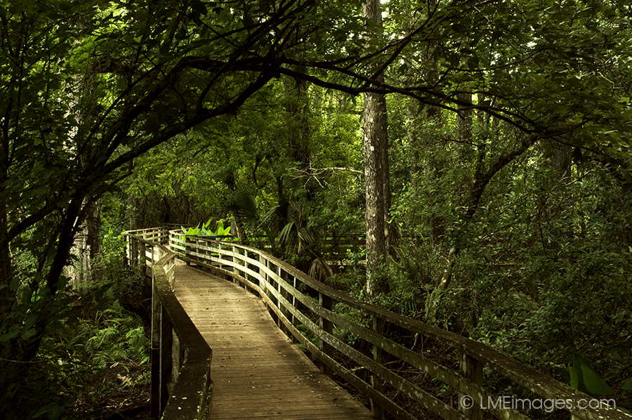 Naples Home Inspector: Fun Activities and Historic Landmarks of Naples ...