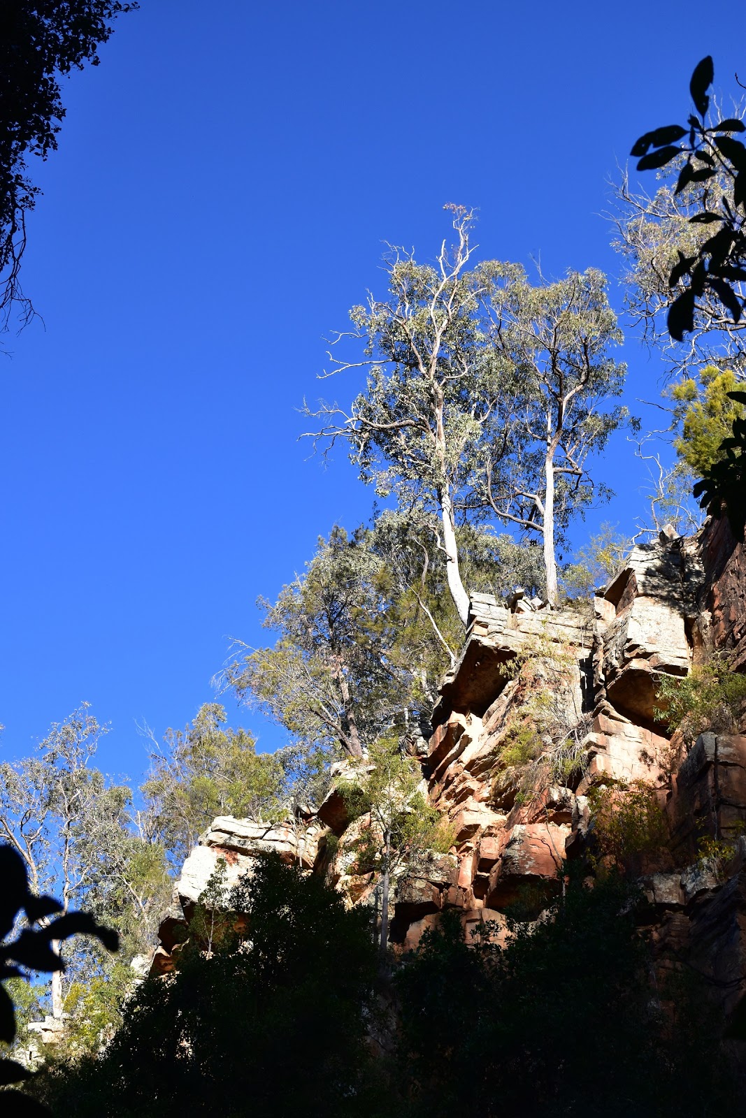 Goin' Feral One Day At A Time: Den of Nargun, Mitchell River National ...