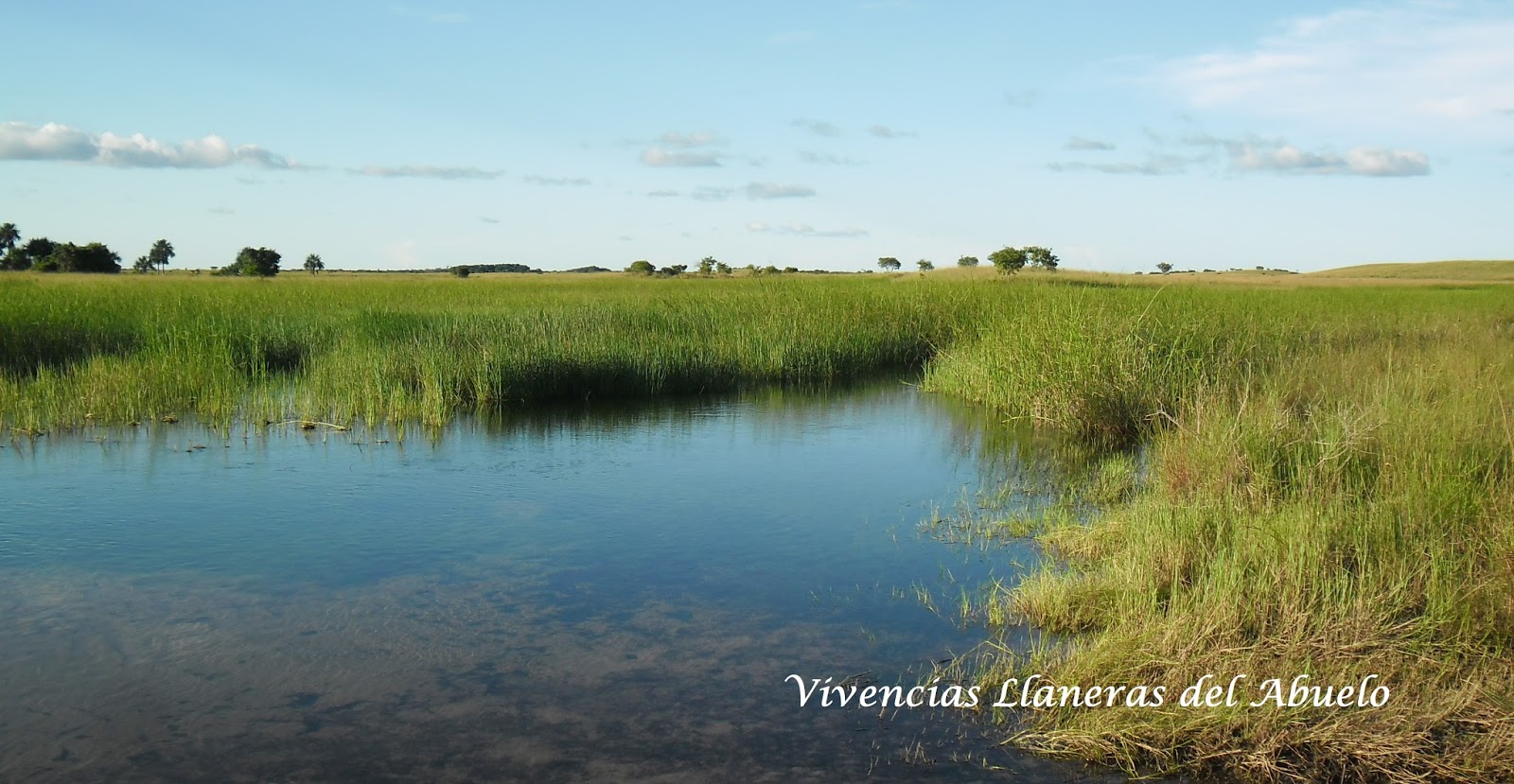 VIVENCIAS LLANERAS DEL ABUELO: La Otra Cara de la Llanura Eólica