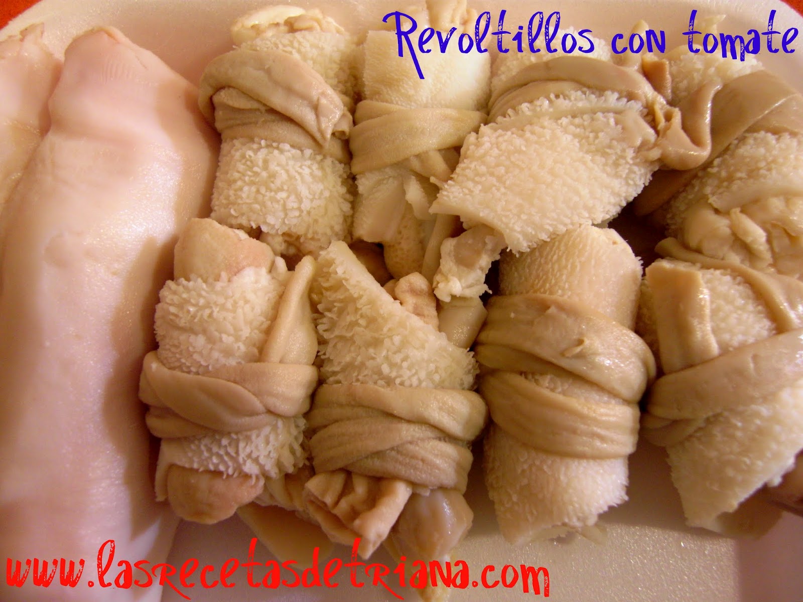 Revoltillo