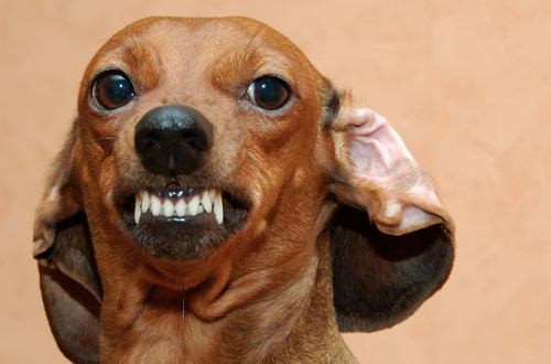 Hornsby Brand Design LLC: Creating Sticky Brands: How to Avoid Irking.