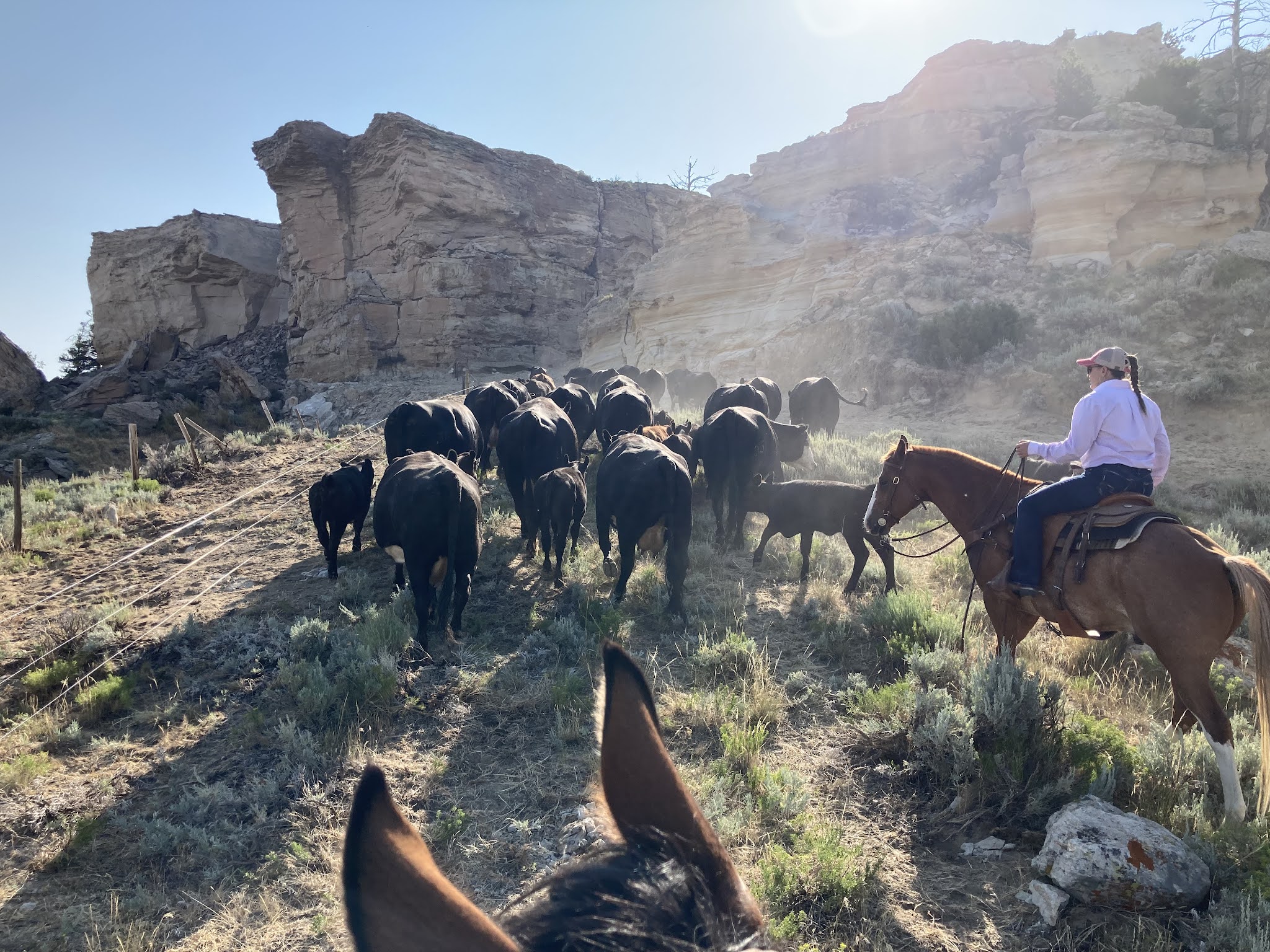Wyoming Catholic Cowboys - raw and real: Pumpkin Buttes