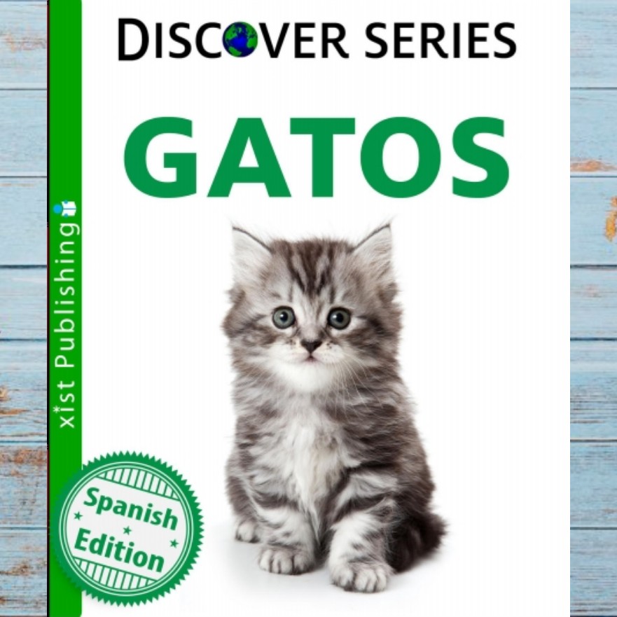Gatos. Discover Series | Rassel una gata de biblioteca