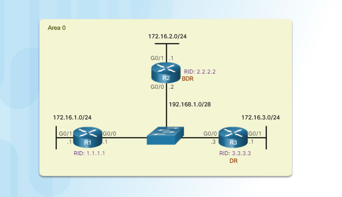 Chapter 10: OSPF Tuning and Troubleshooting - cisco academy
