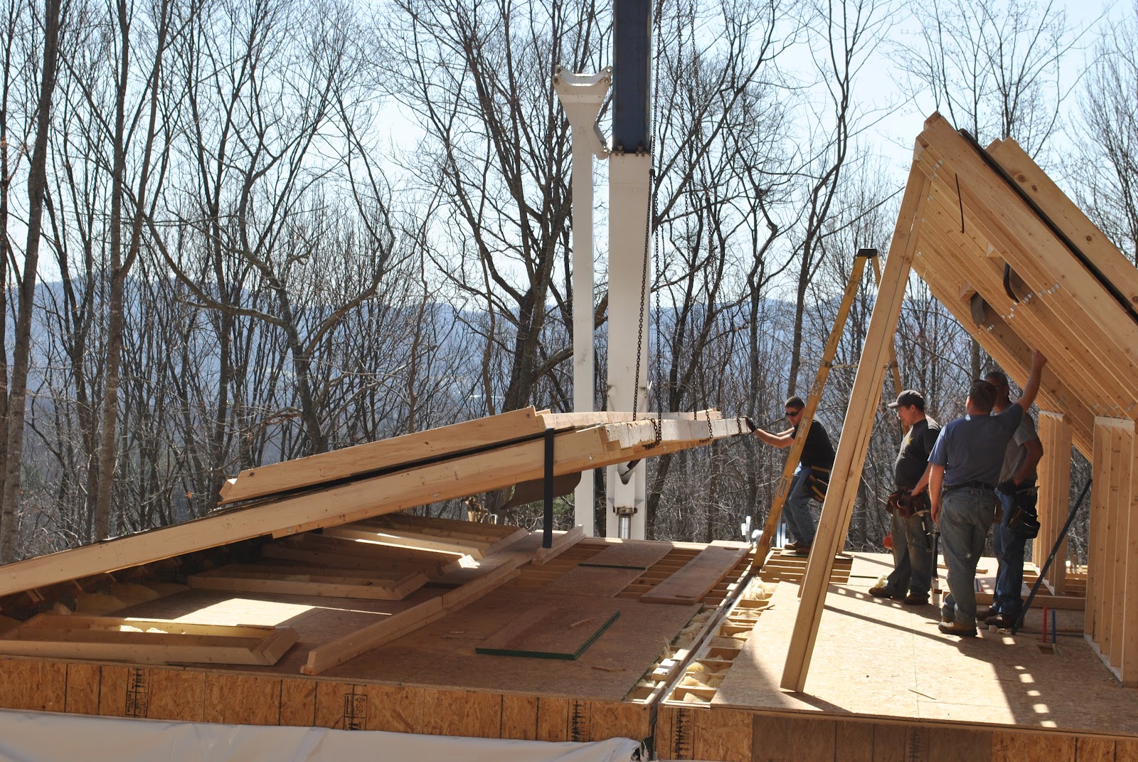 Our New House: Raising the Roof