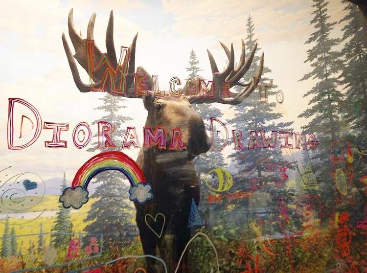 DAILY VACATIONER: Night in the Museum (The Academy of Natural Sciences ...