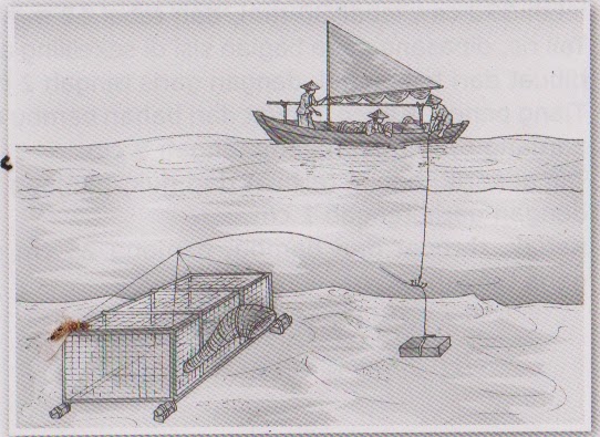 Welcome to Narni's Blog