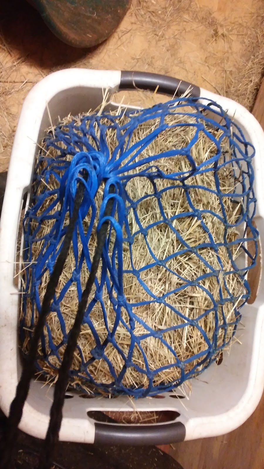 The Well Groomed Horse: Hay nets