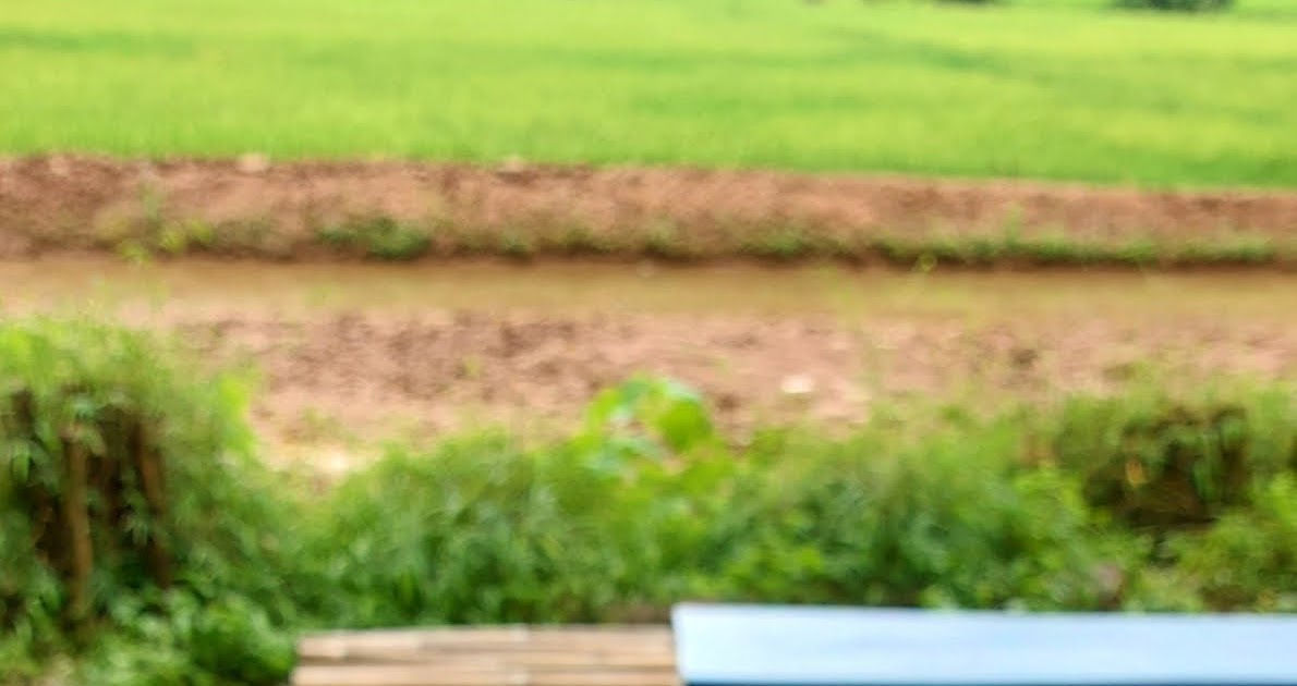 Update Little Ubud Cileungsi di February 2021